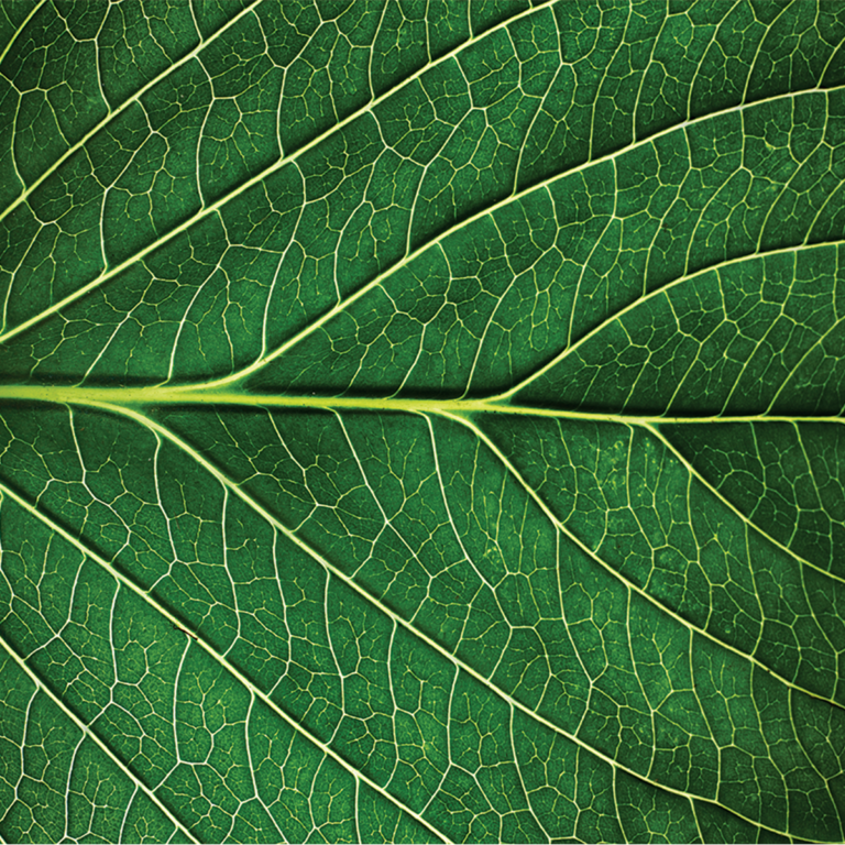 What is a Privilege Log? | UnitedLex