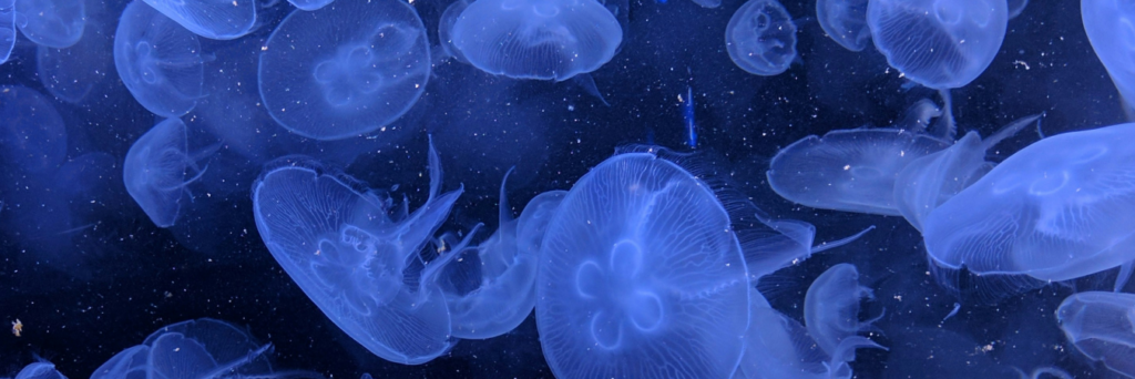 What is a Privilege Log? | UnitedLex