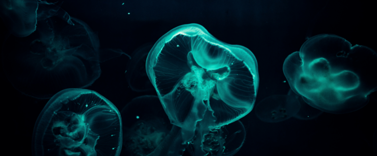 What is a Privilege Log? | UnitedLex