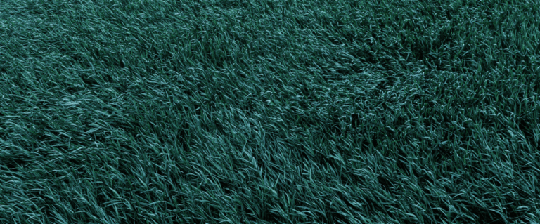 What is a Privilege Log? | UnitedLex